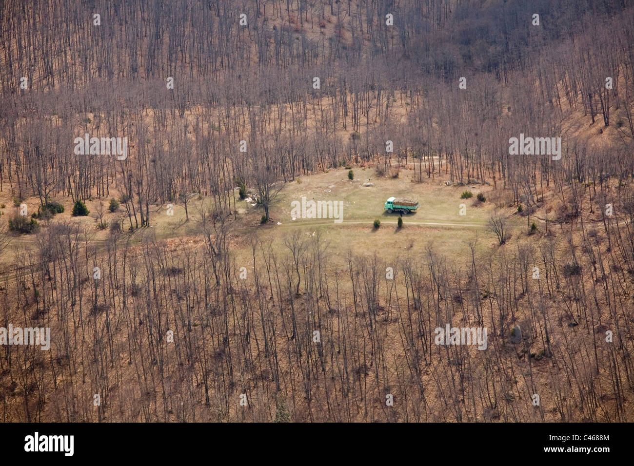 Aerial photograph of a forest in Bulgaria Stock Photo - Alamy