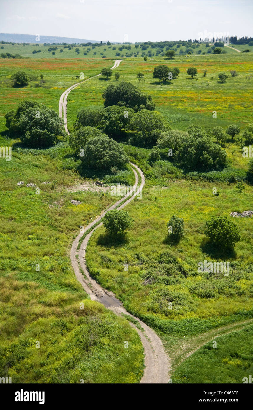 Aerial photograph of the green landscape of Israel Stock Photo - Alamy