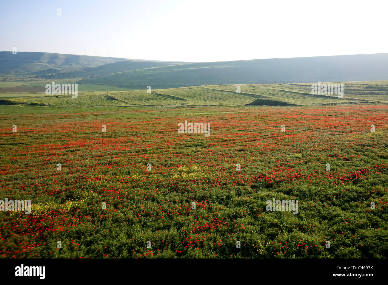 Aerial photograph of the landscape of the Lower Galilee Stock Photo - Alamy
