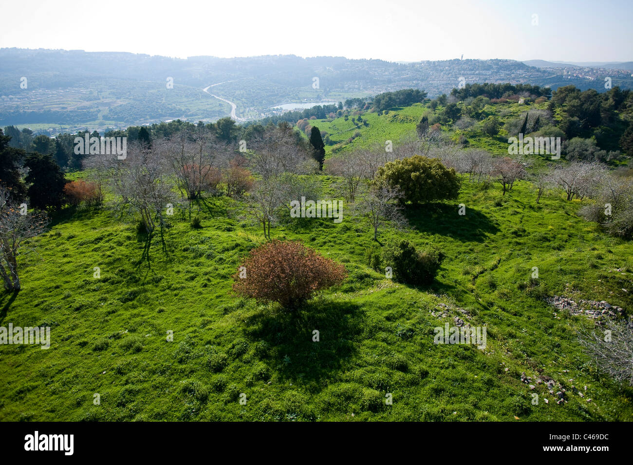 Aerial photograph of the landscape of the Upper Galilee Stock Photo - Alamy