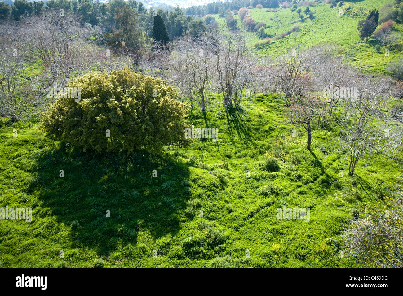 Aerial photograph of the landscape of the Upper Galilee Stock Photo - Alamy