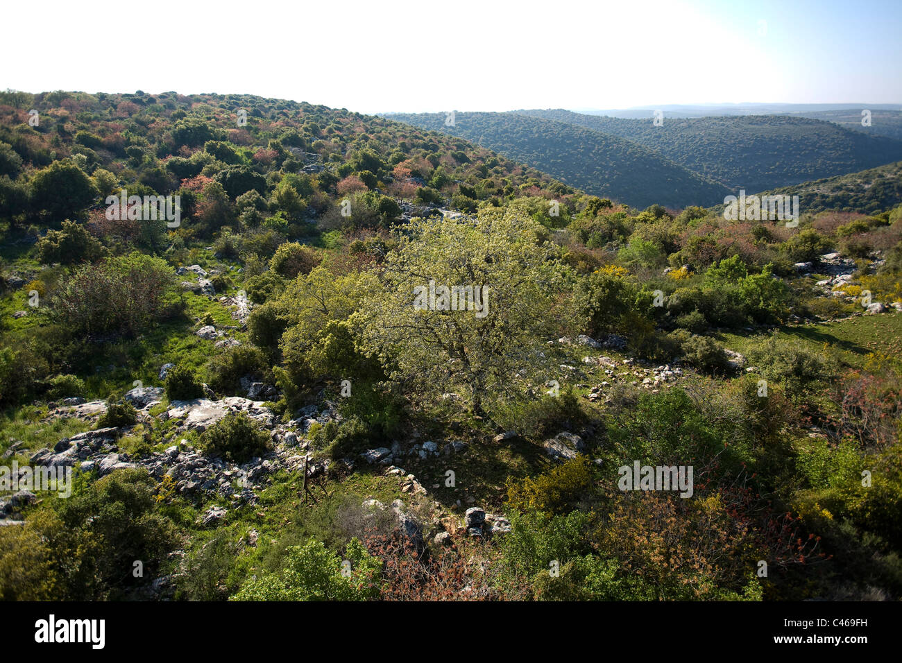Aerial photograph of the mountains of the Upper Galilee Stock Photo - Alamy