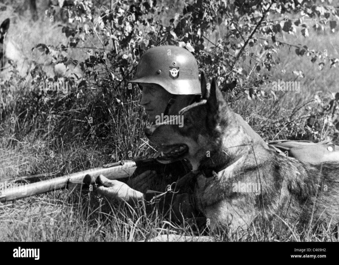 Second World War: German police fighting partisans in occupied Soviet ...