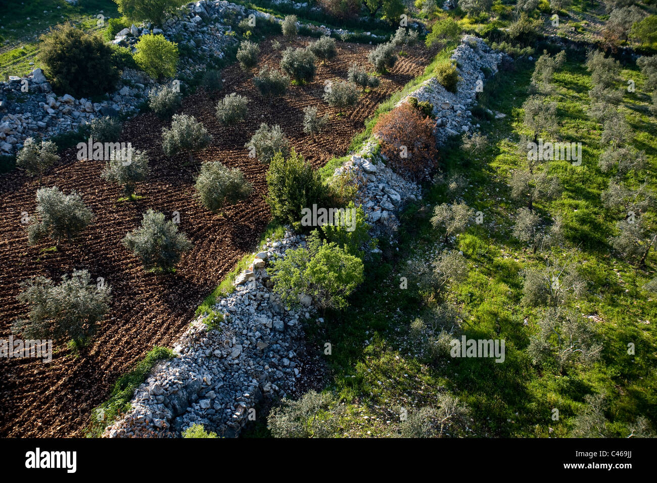 Aerial photograph of the landscape of the Upper Galilee Stock Photo - Alamy
