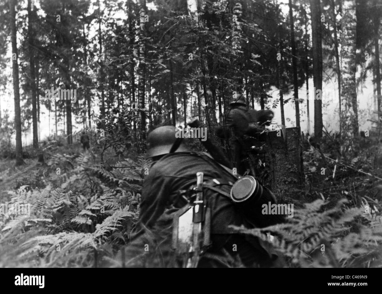 Second World War: German Wehrmacht fighting against partisans Stock ...