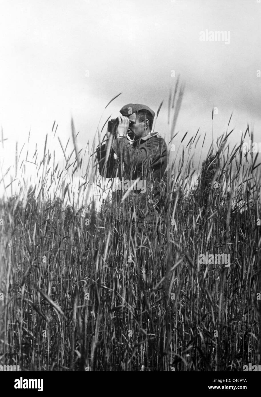 Second World War: German Wehrmacht fighting against partisans Stock ...