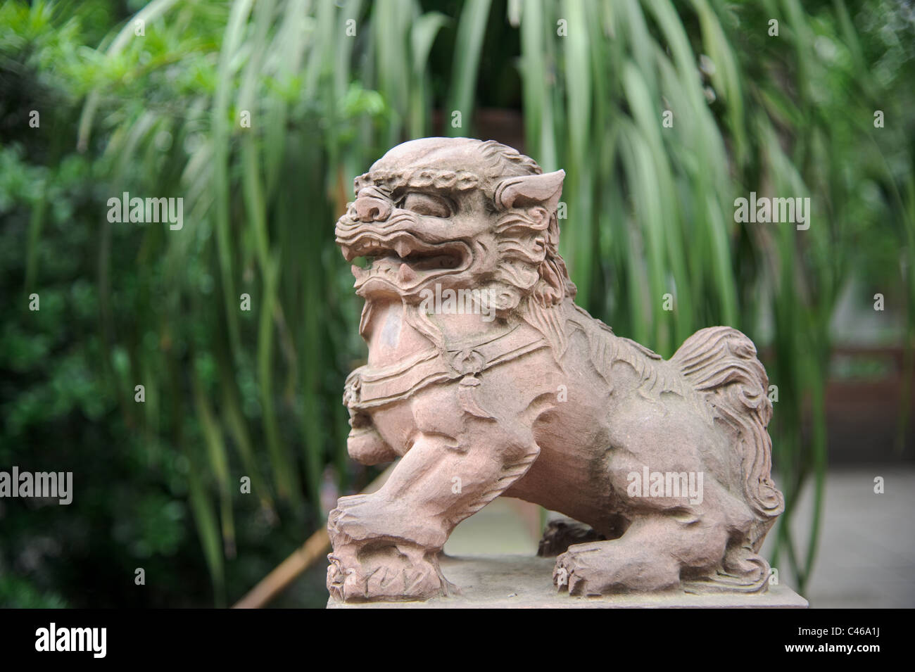 The lion guard hi-res stock photography and images - Alamy