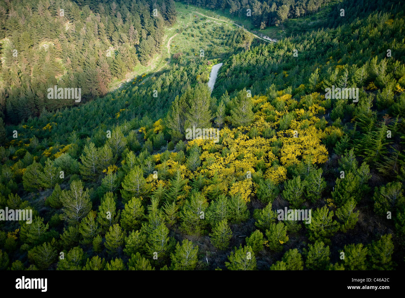 Aerial photograph of Biriya forest in the Upper Galilee Stock Photo - Alamy