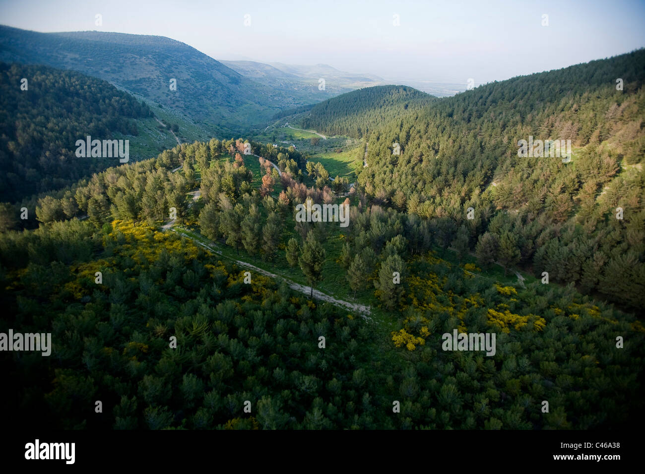 Aerial photograph of Biriya forest in the Upper Galilee Stock Photo - Alamy