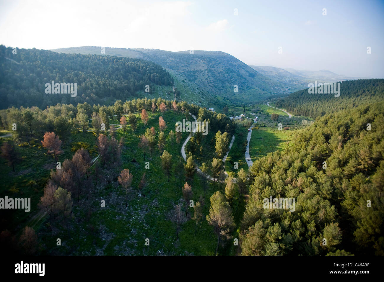 Aerial photograph of Biriya forest in the Upper Galilee Stock Photo - Alamy