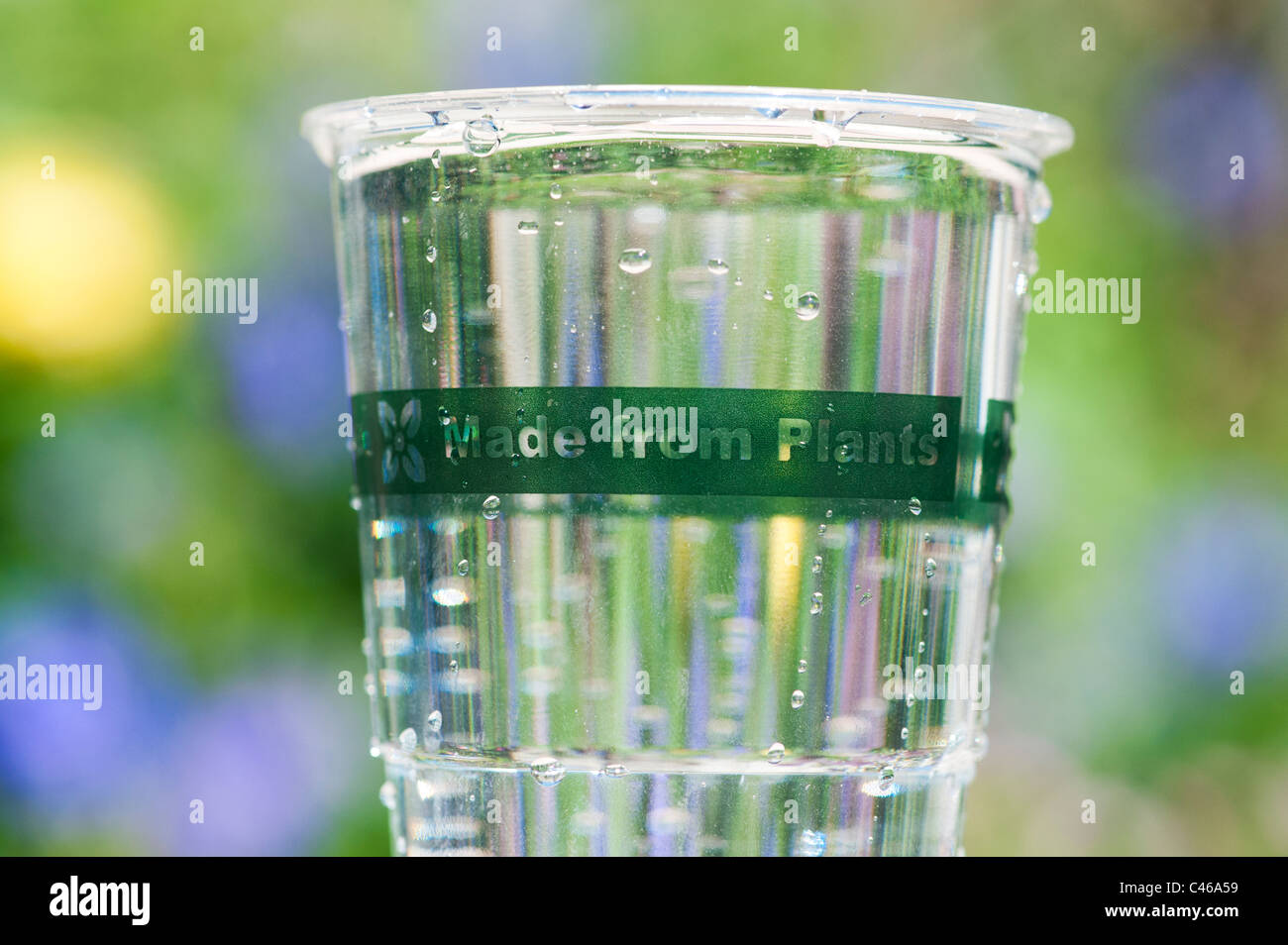 Biodegradable, Compostable plastic free cup made from plant material ...