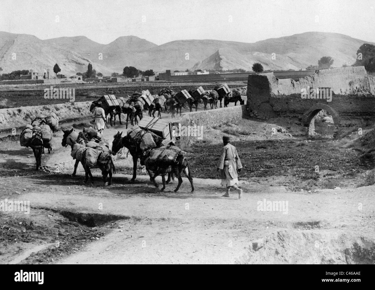 Donkey caravan in Iran, 1912 Stock Photo - Alamy