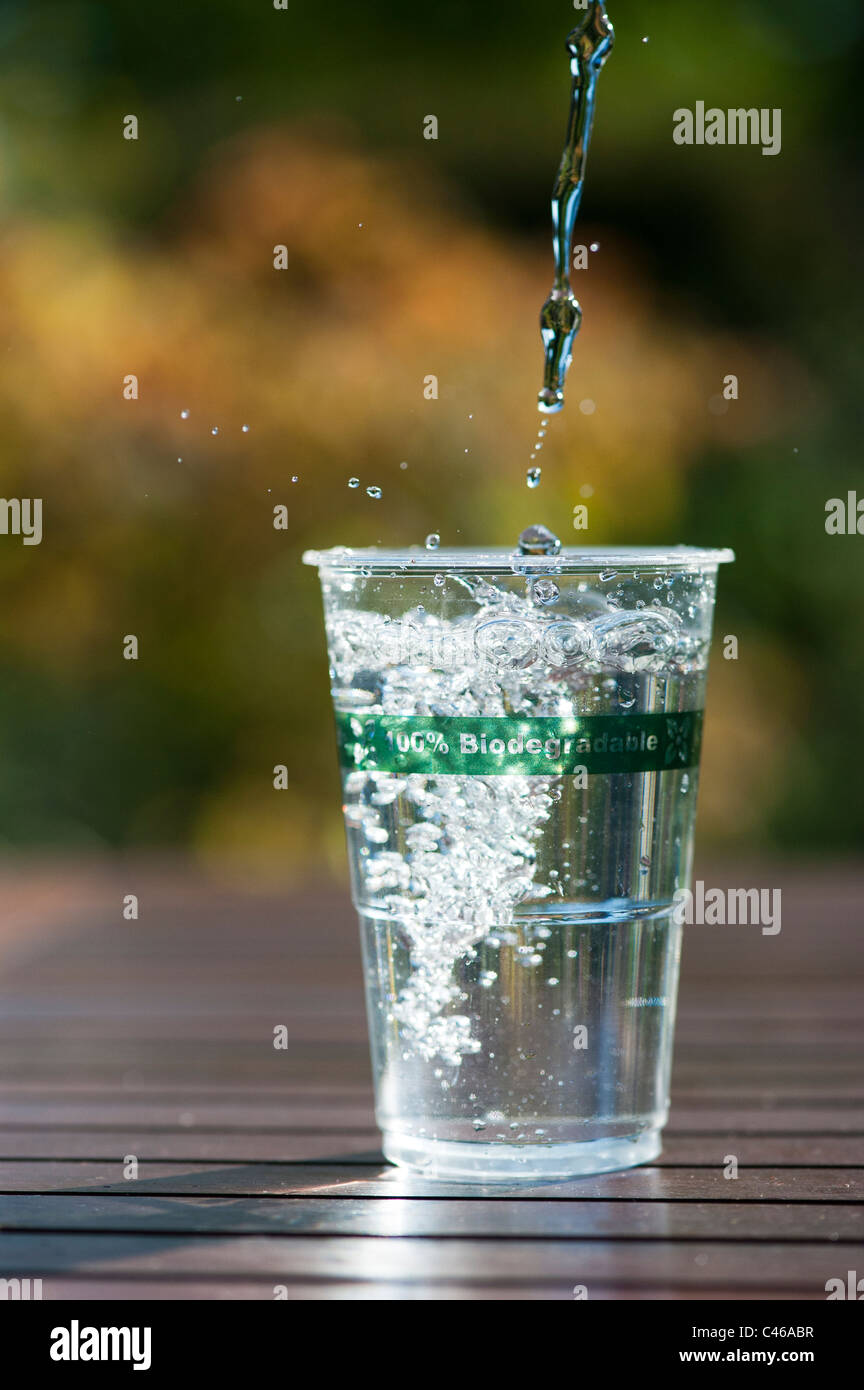 Biodegradable, Compostable plastic free cup made from plant material ...
