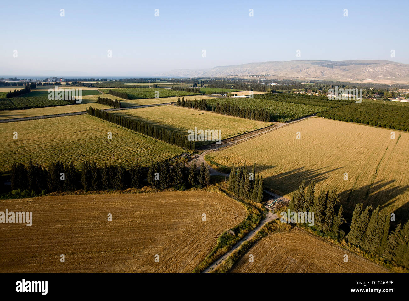 Aerial photograph of the agriculture fields of the Jordan valley Stock ...