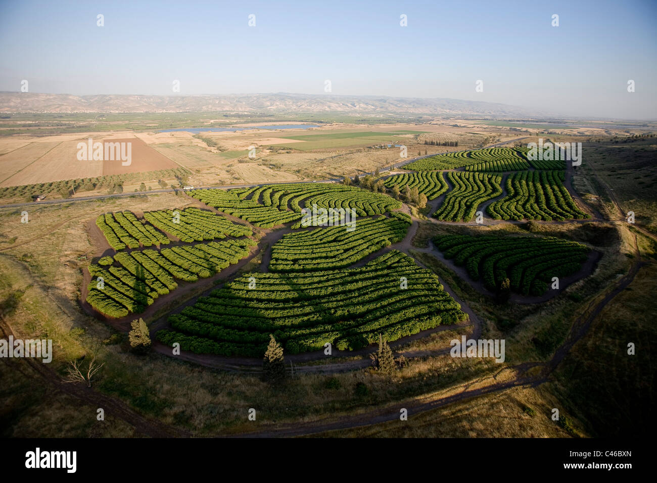 Aerial photograph of the agriculture fields of the Jordan valley Stock ...