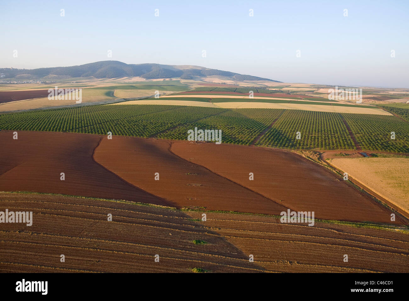 Aerial photograph of the agriculture fields of the Harod valley Stock ...