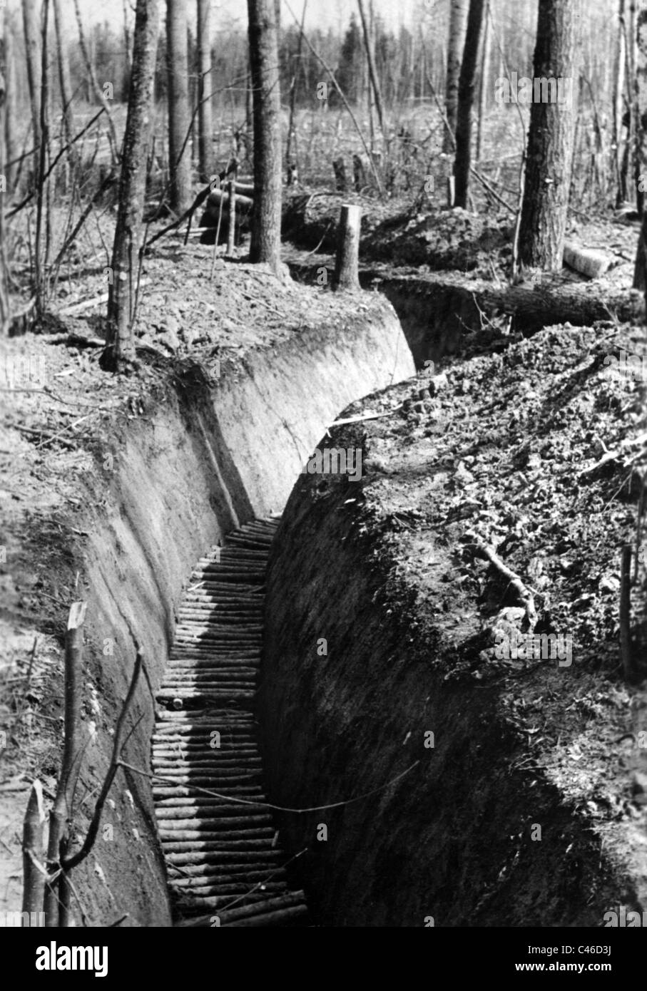 Trench warfare eastern front hi-res stock photography and images - Alamy