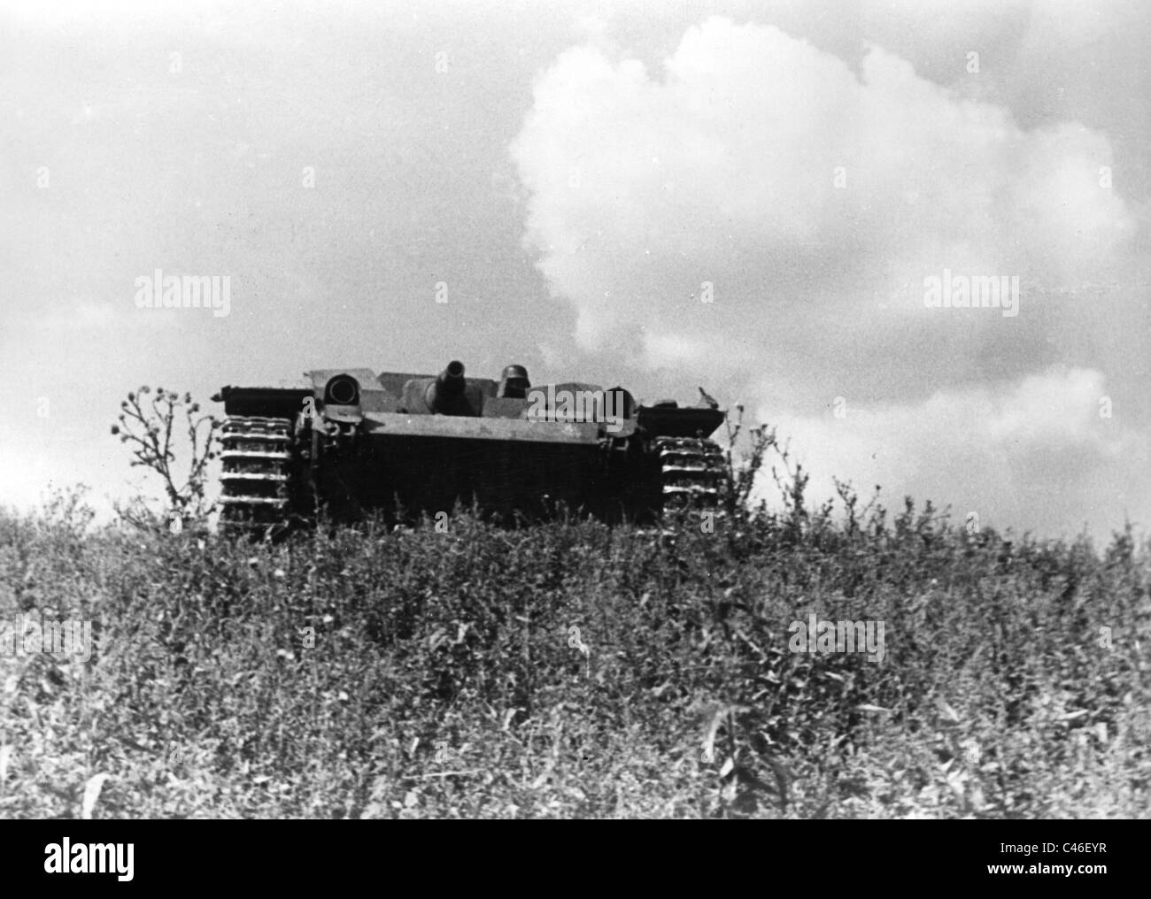 Second World War: German Assault Guns Stock Photo - Alamy