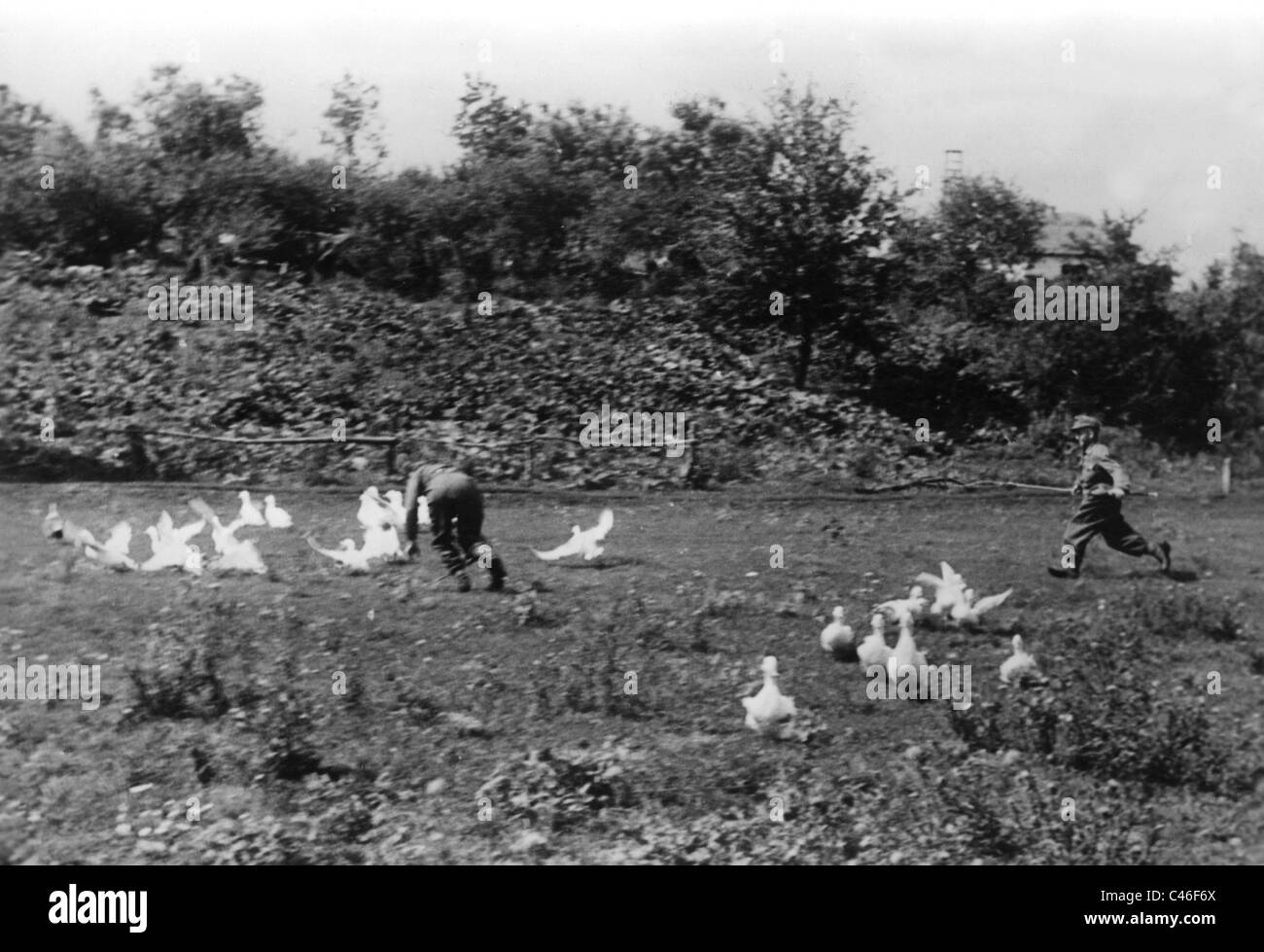 Field Rations German Wehrmacht High Resolution Stock Photography and ...