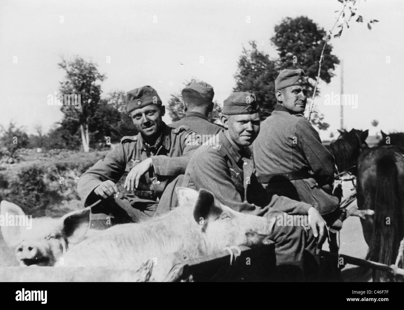 Second World War: Field Rations at German Wehrmacht Stock Photo - Alamy