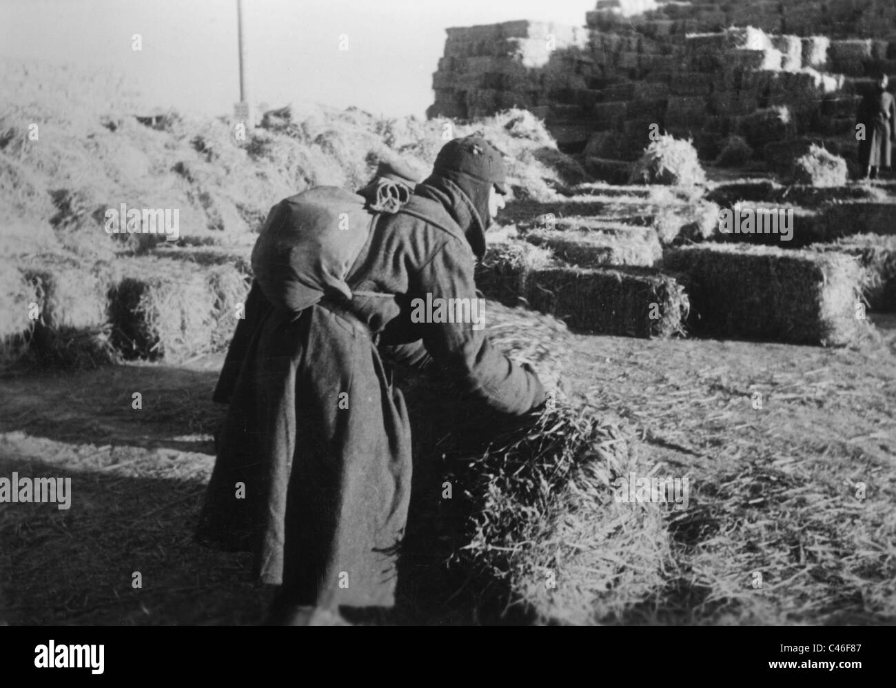 German field kitchen wwii hi-res stock photography and images - Alamy