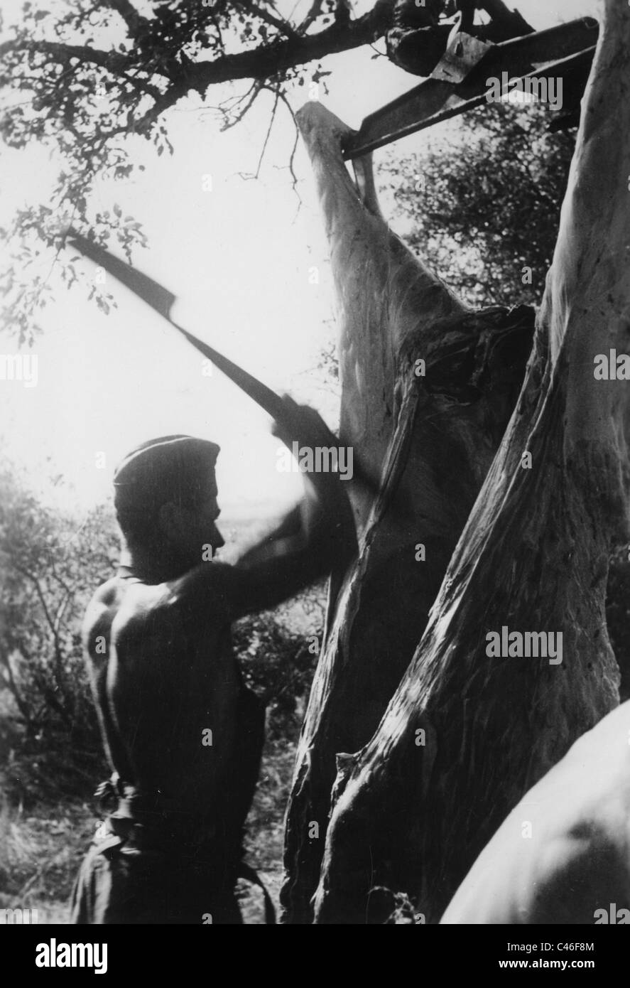 Second World War: Field Rations at German Wehrmacht Stock Photo - Alamy