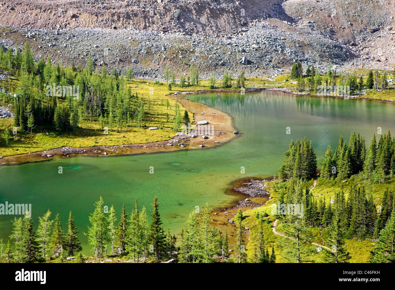 Opabin Plateau and Lake, Yoho National Park, British Columbia, Canada ...