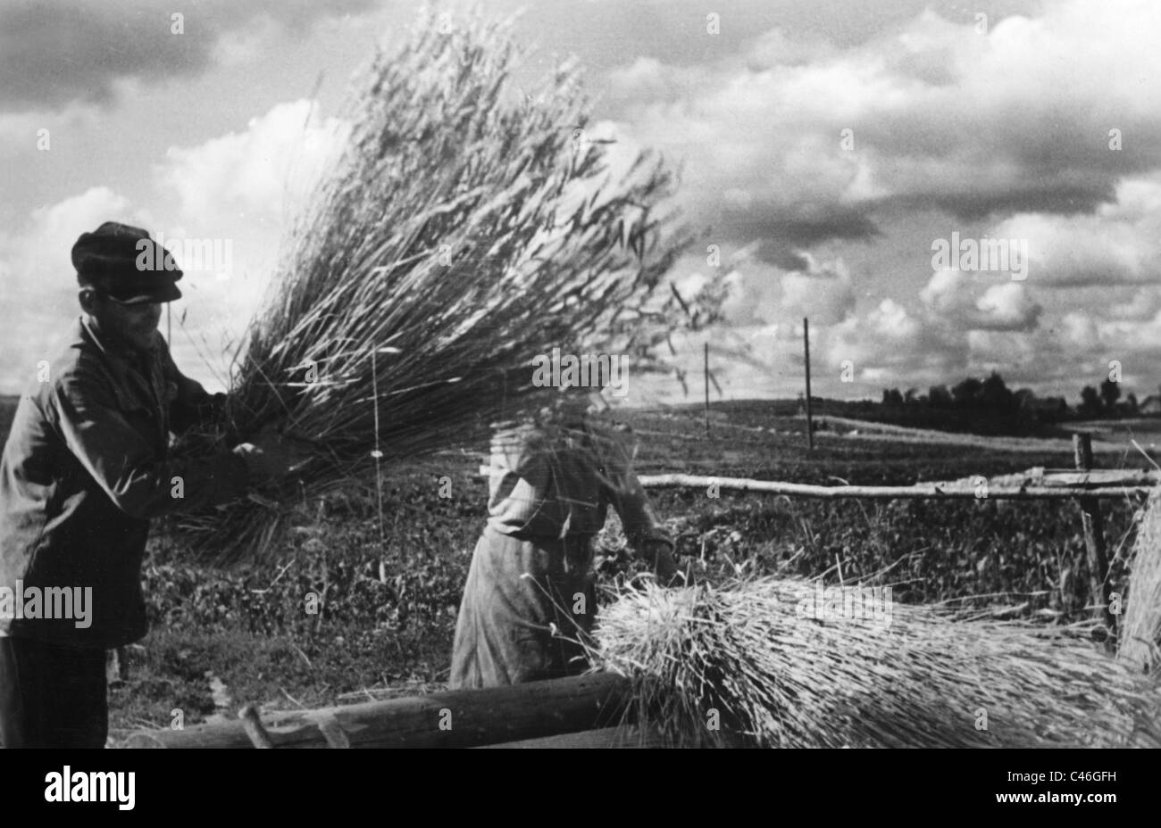 Second World War, Russian Civil Population: Agriculture, Villagers ...