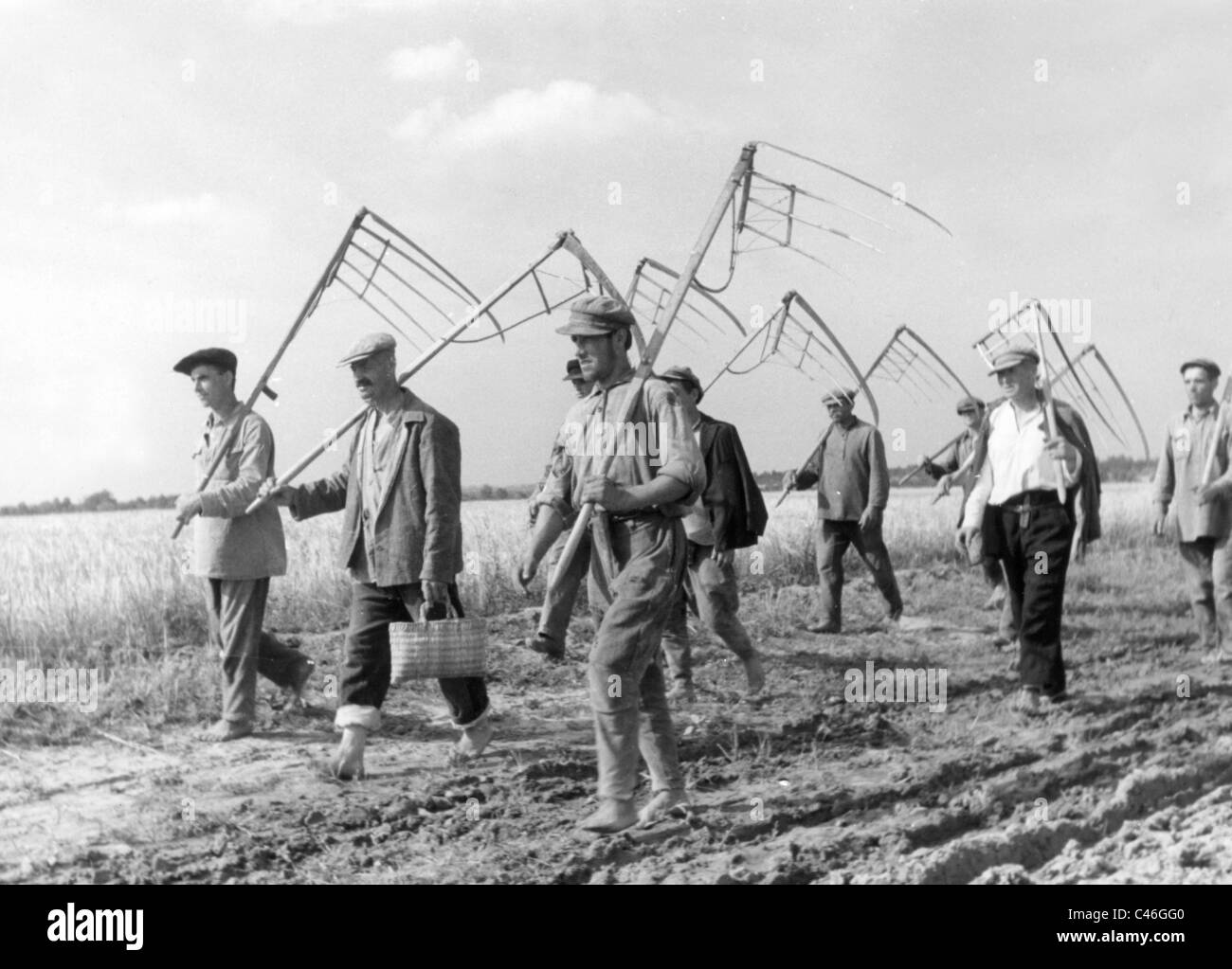 Second World War, Russian Civil Population: Agriculture, Villagers ...