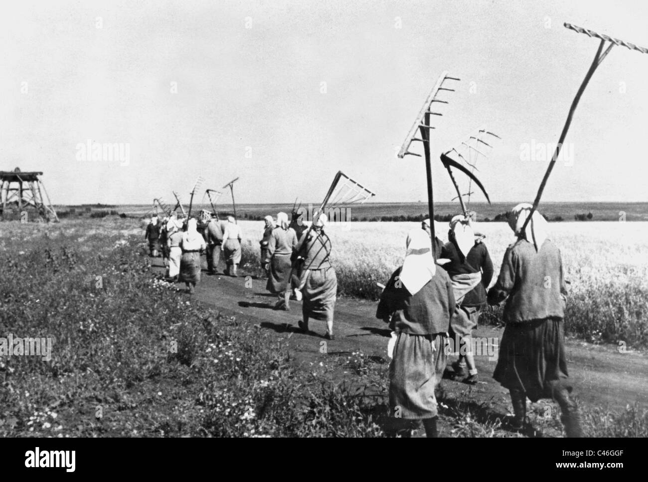 Second World War, Russian Civil Population: Agriculture, Villagers ...