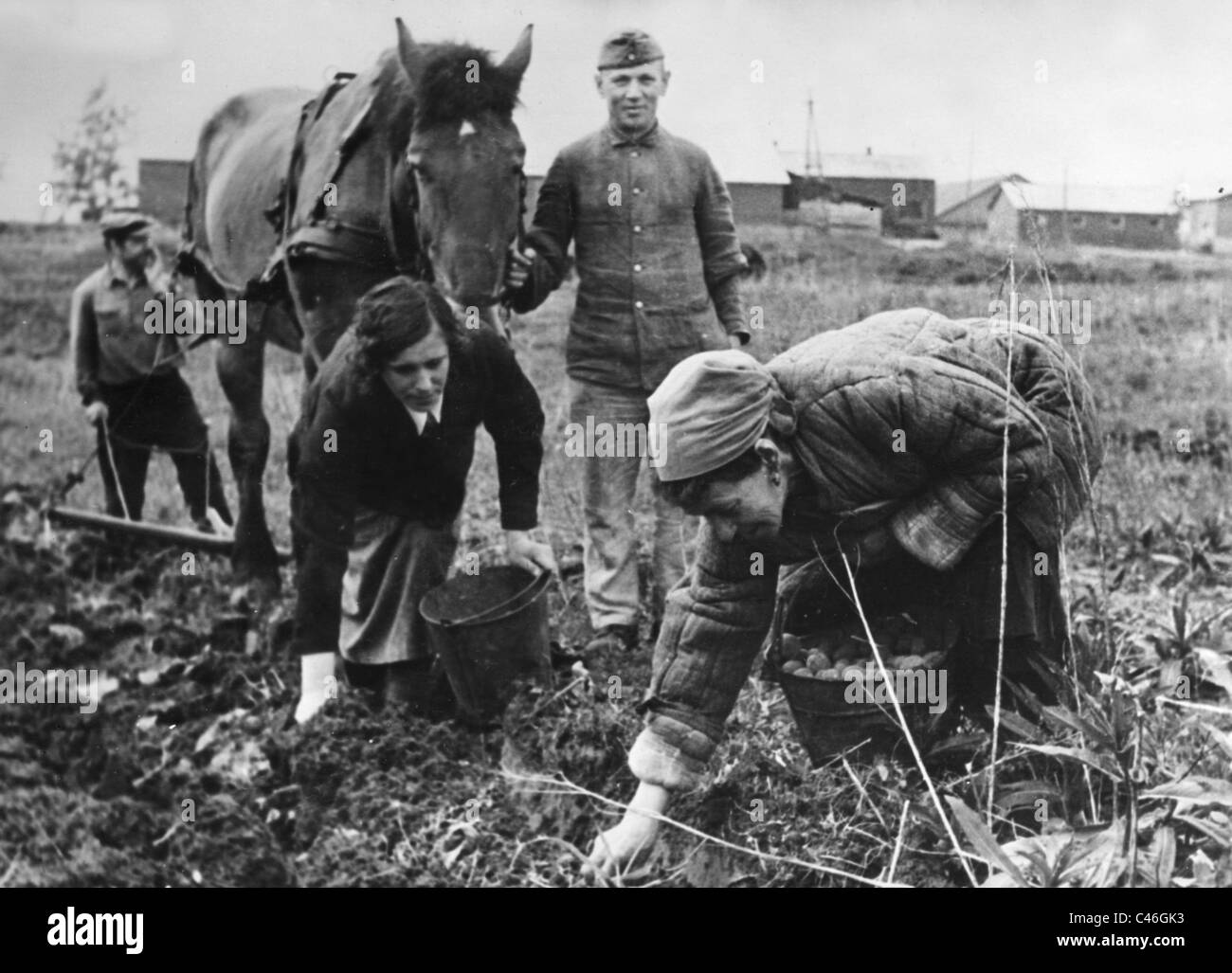 Second World War, Russian Civil Population: Agriculture, Villagers ...