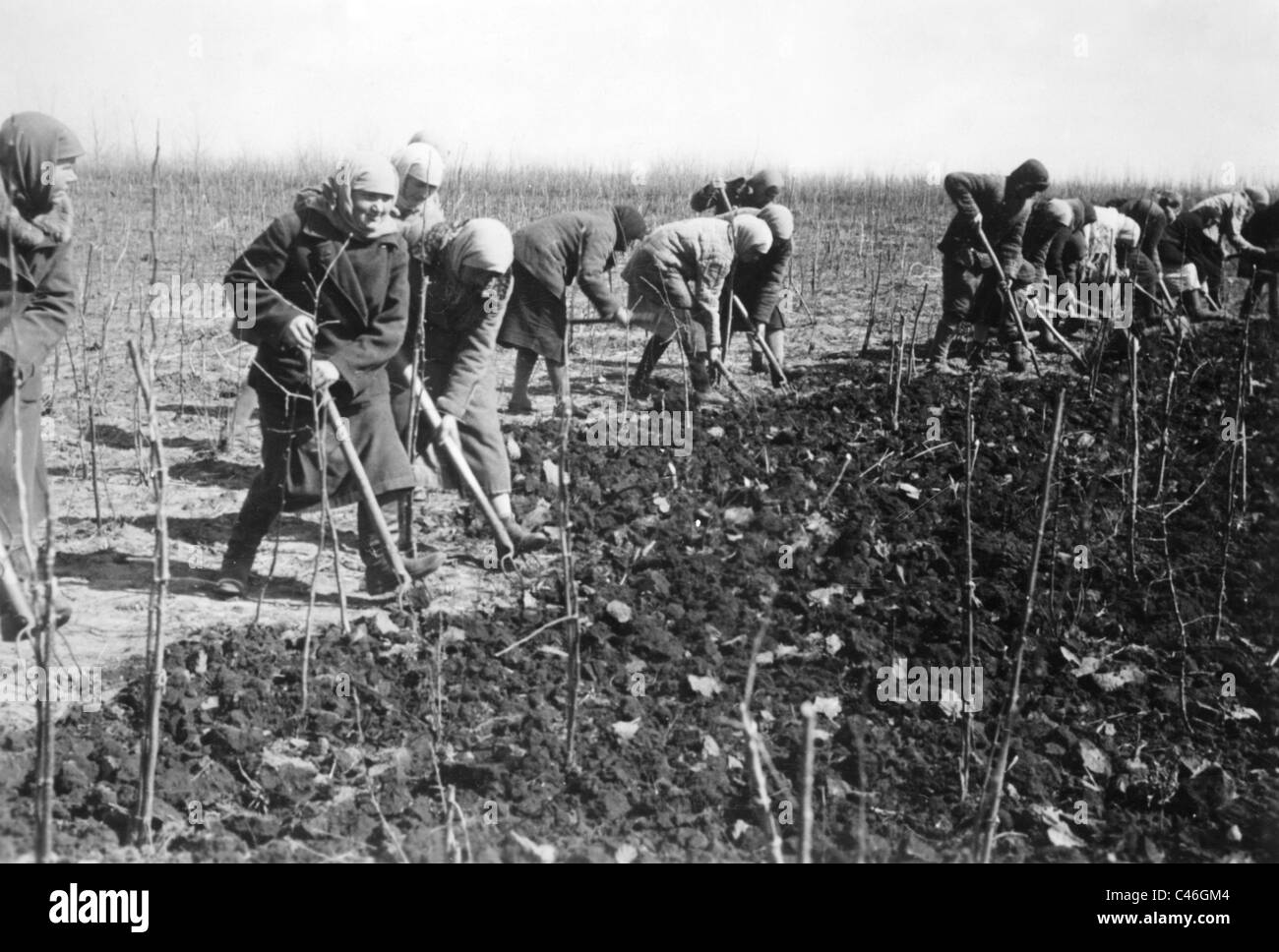 Second World War, Russian Civil Population: Agriculture, Villagers ...