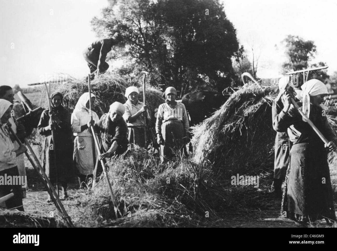 Second World War, Russian Civil Population: Agriculture, Villagers ...
