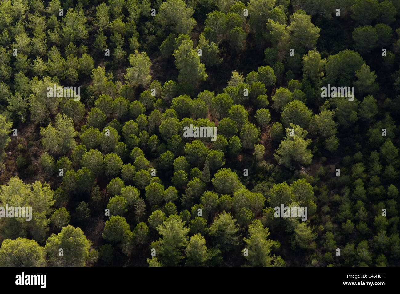 Aerial photograph of the Carmel forest Stock Photo - Alamy