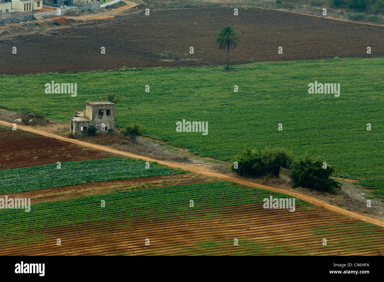 Aerial photograph of a orchard in the Sharon Stock Photo - Alamy