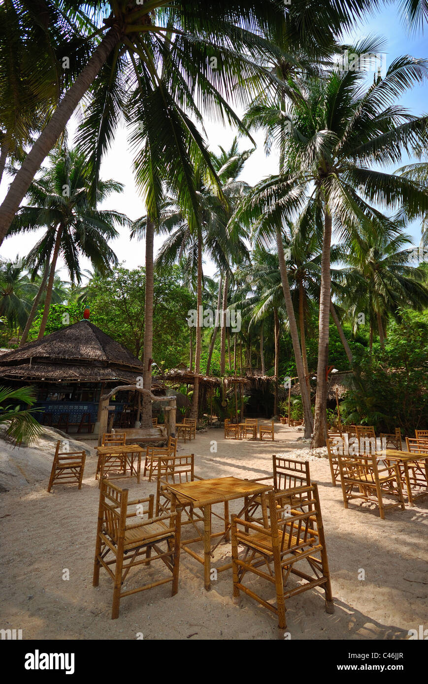 Beach cafe under the palms Stock Photo - Alamy
