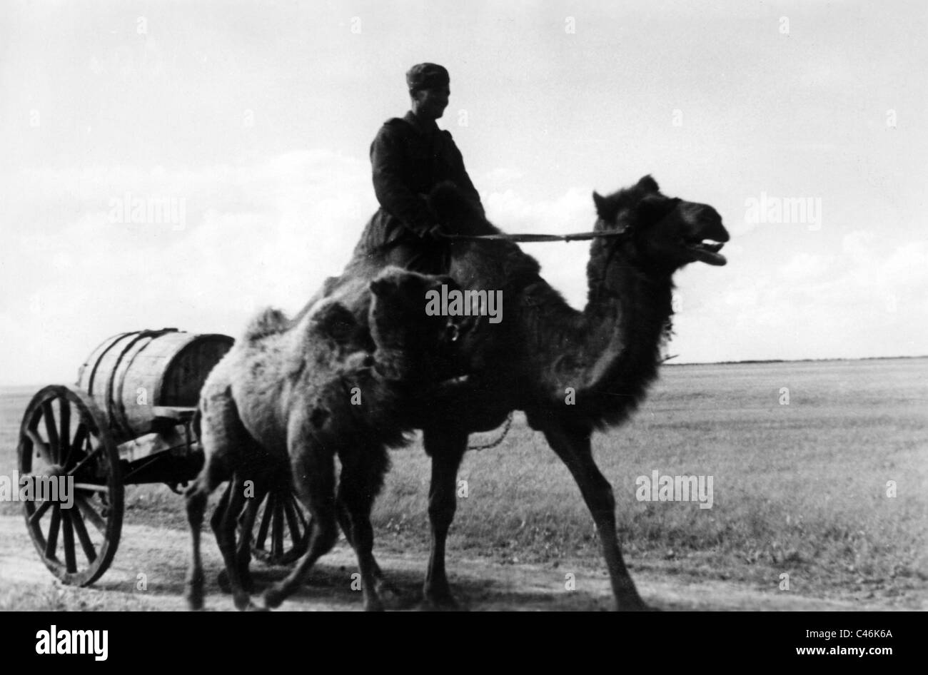 Kalmyk wwii hi-res stock photography and images - Alamy