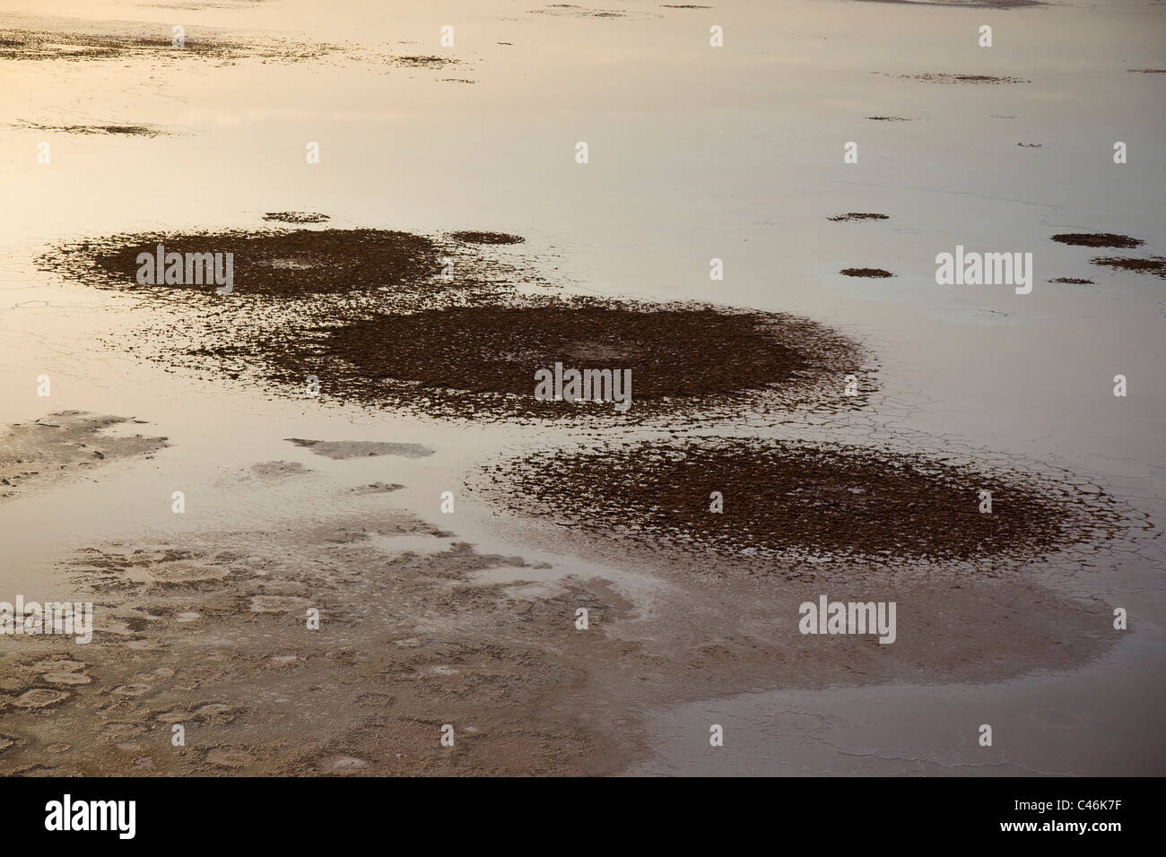 Aerial photograph of the Dead sea at morning Stock Photo - Alamy