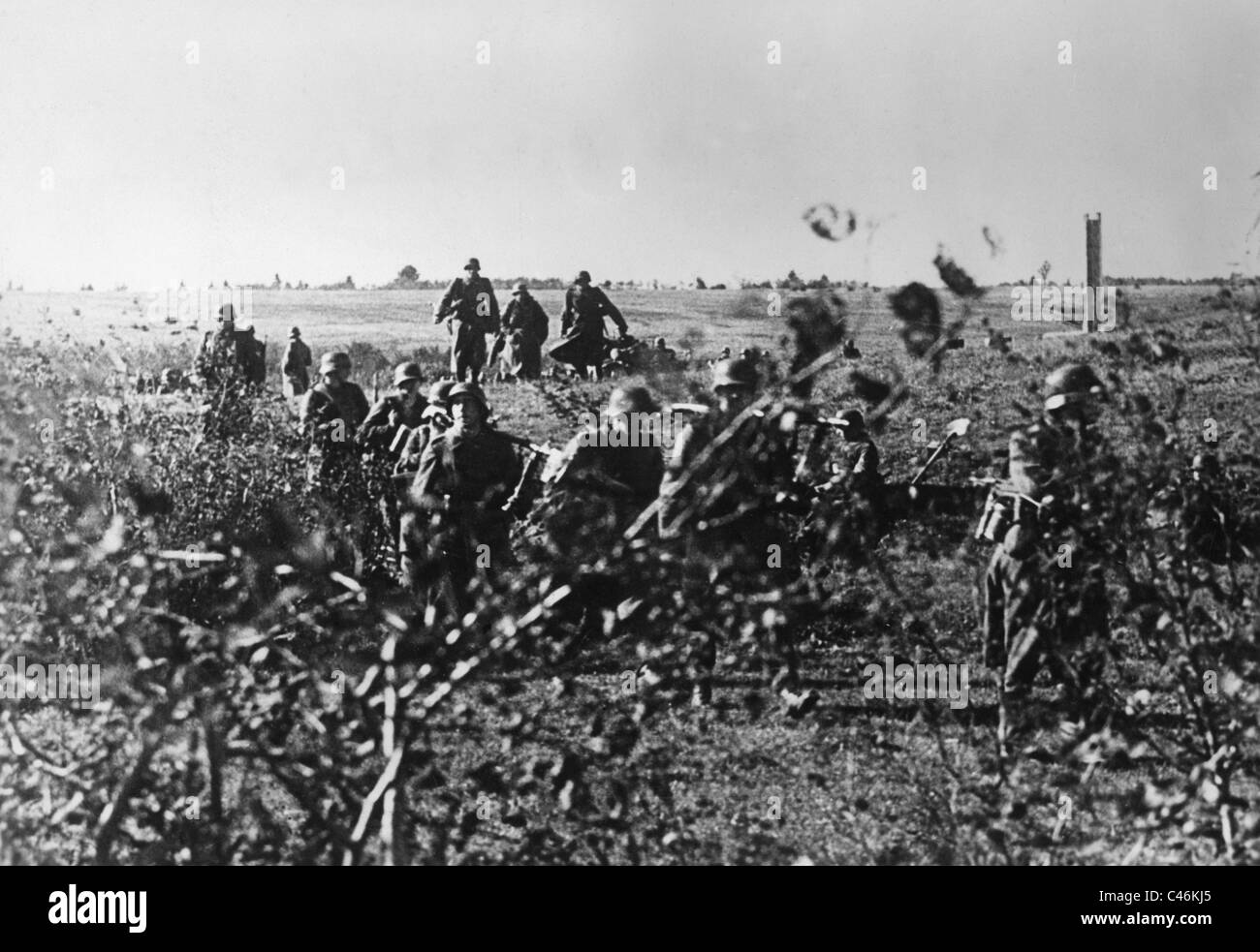 Second World War: German Army Group North and allied Axis troops ...