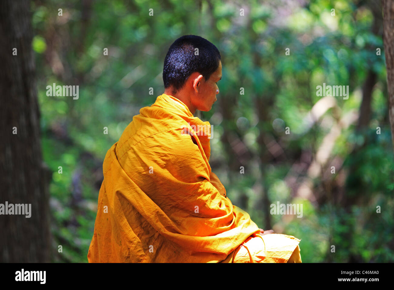 This photograph was taken in the rain forest of the Northern ...