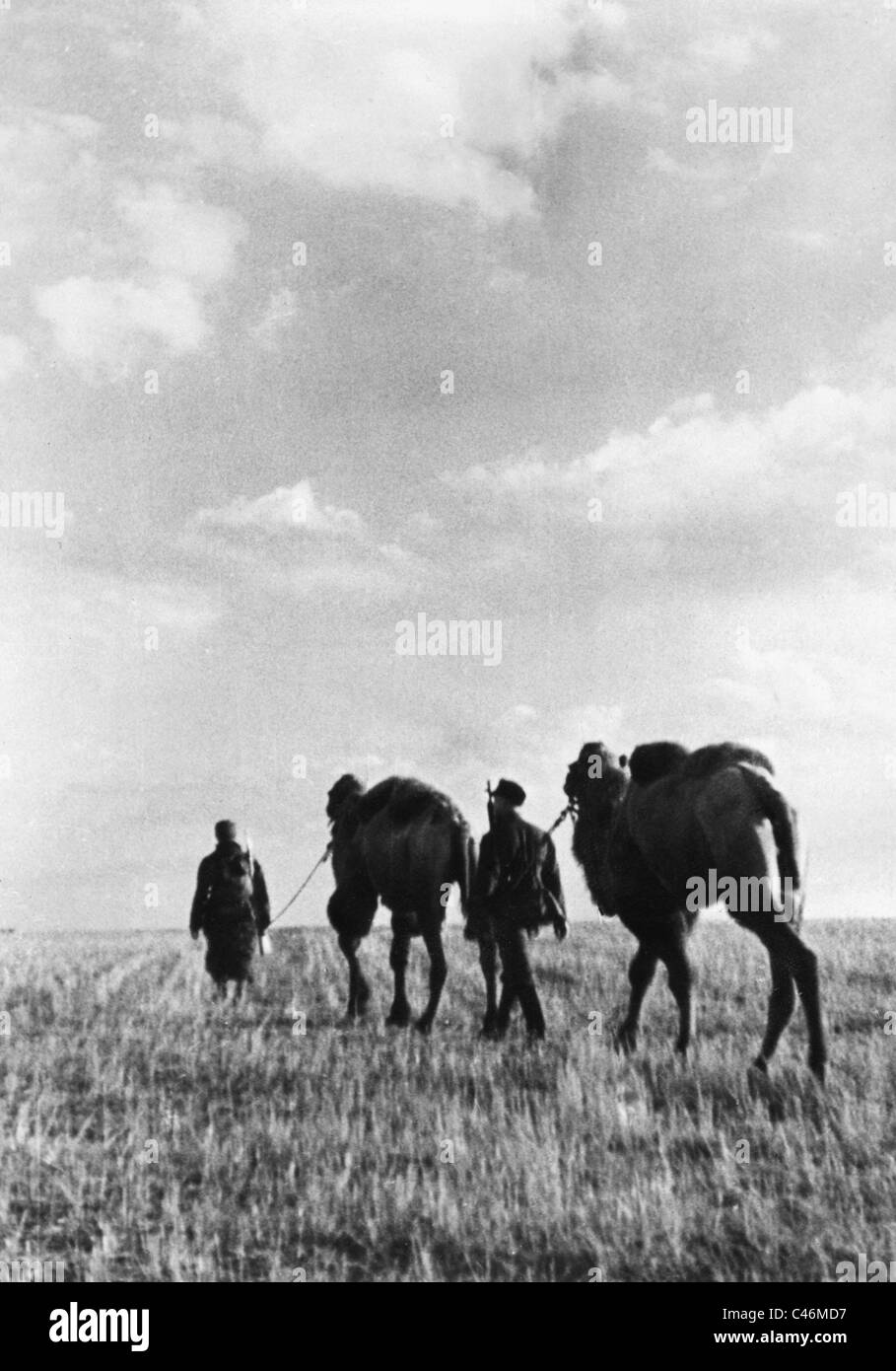 World war rostov on don 1941 1942 hi-res stock photography and images ...