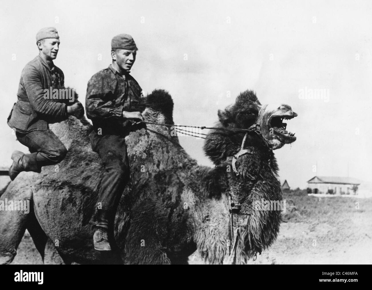 Second World War: Rostov-on-Don, 1941-1942 Stock Photo - Alamy