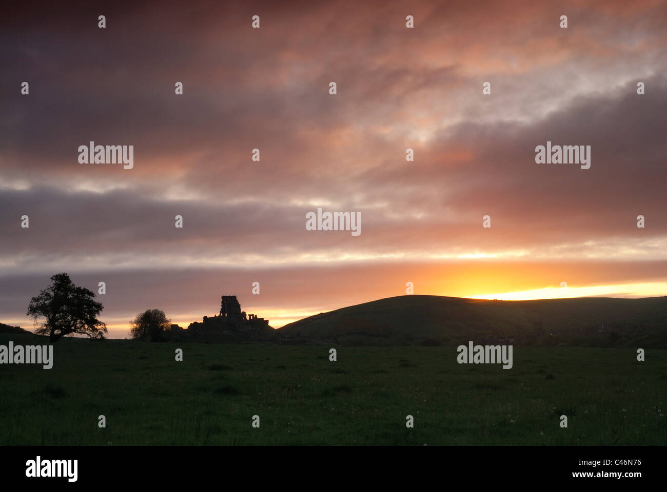 Corfe Castle at dawn in summer, Dorset, England, UK Stock Photo - Alamy