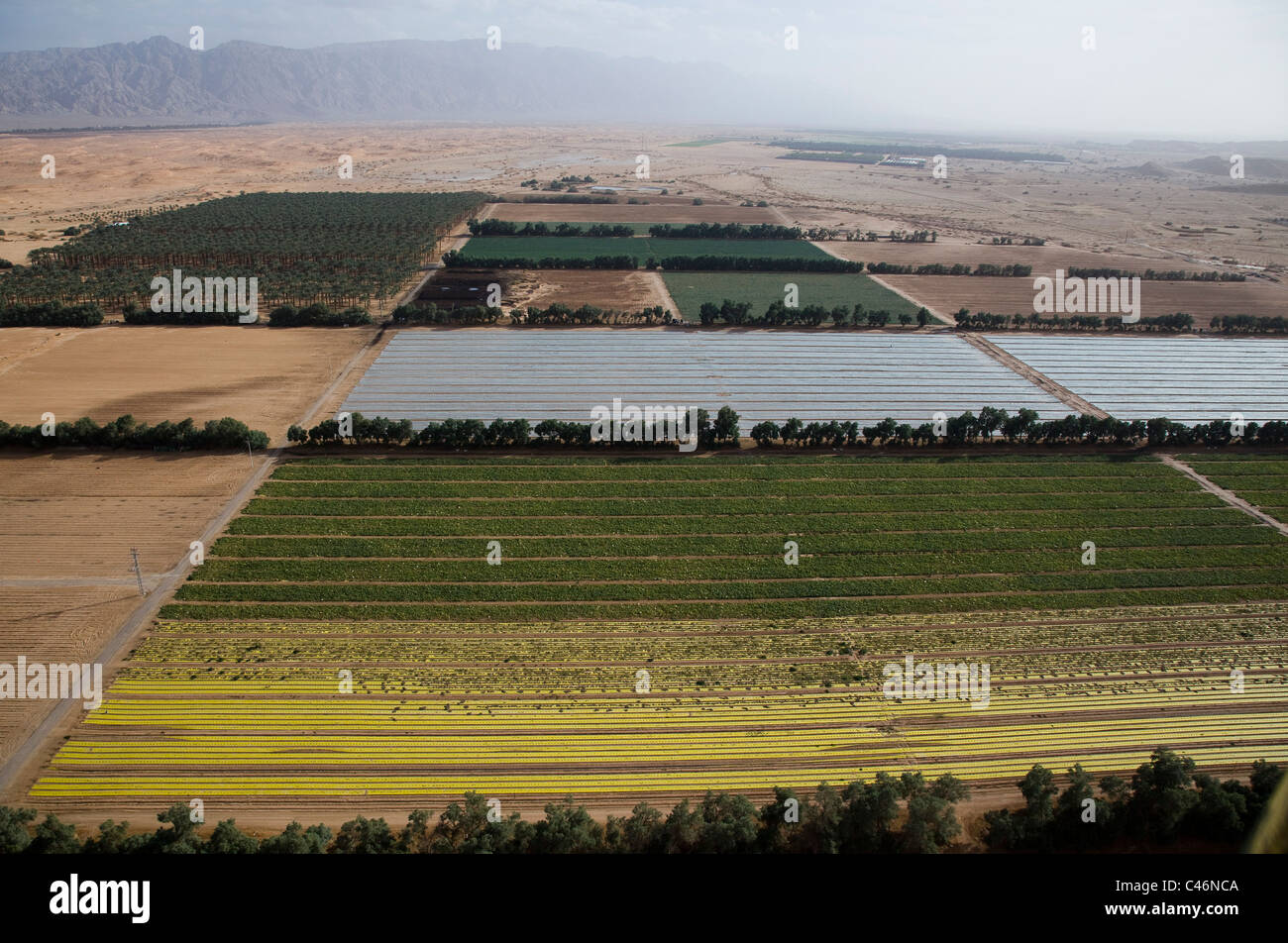 Aerial photograph of the agriculture fields of the Arava Stock Photo ...