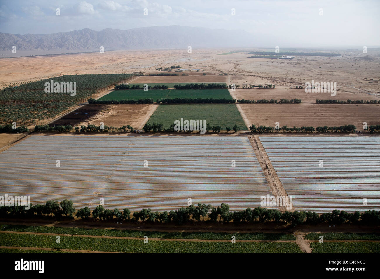 Aerial photograph of the agriculture fields of the Arava Stock Photo ...