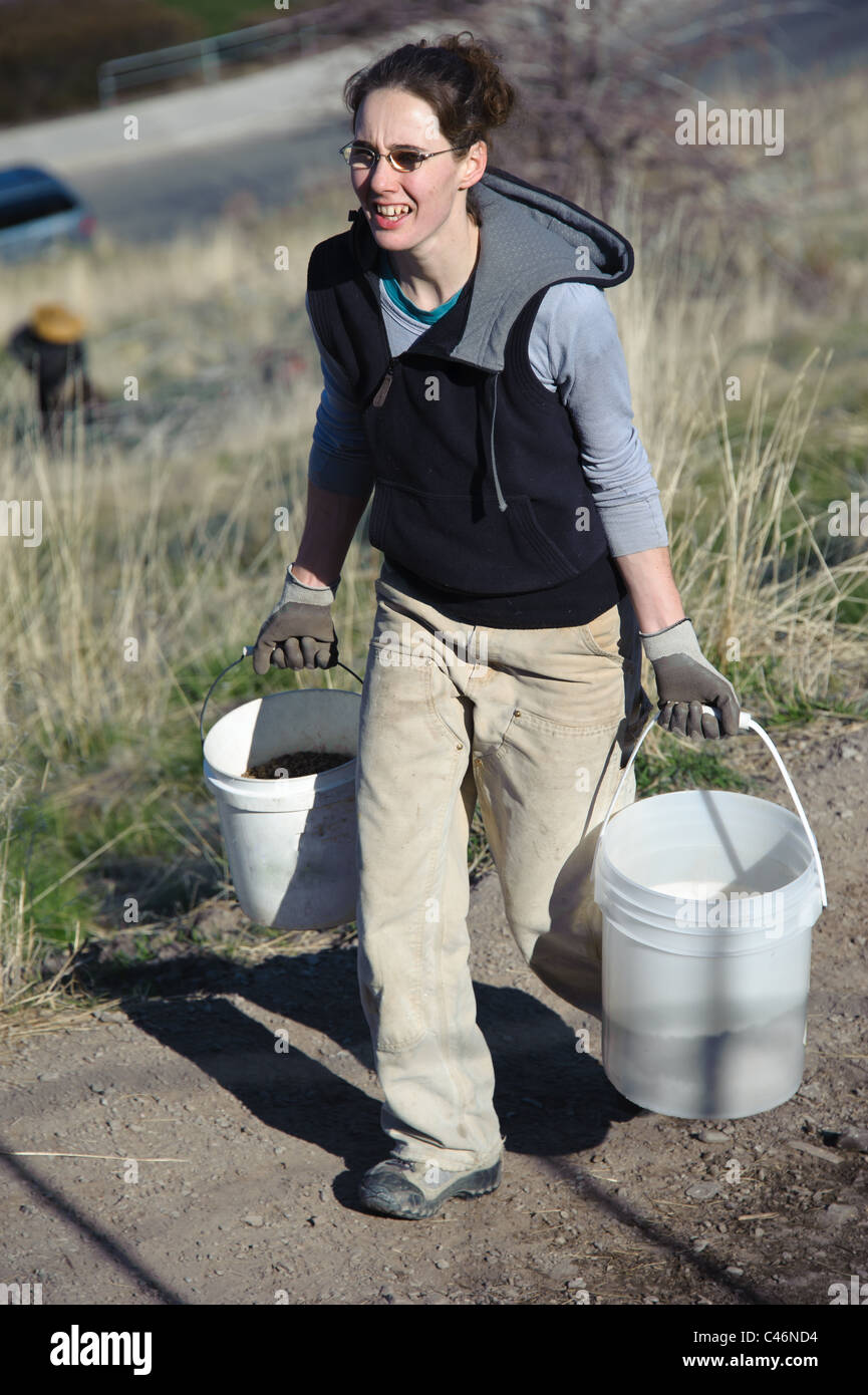 A female volunteer carries a buckets of fill dirt carried up from the ...