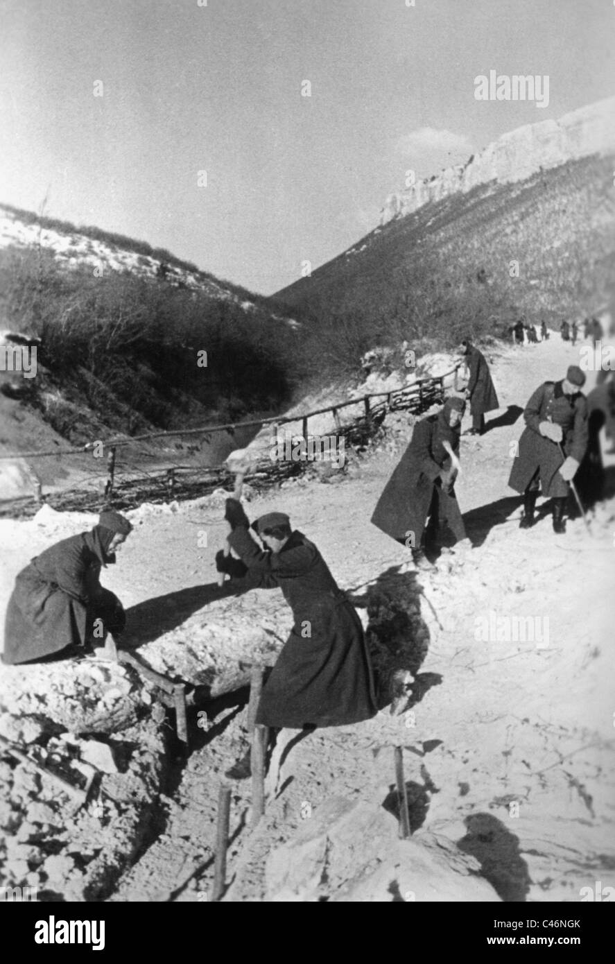 German wehrmacht crimea 1941 hi-res stock photography and images - Alamy