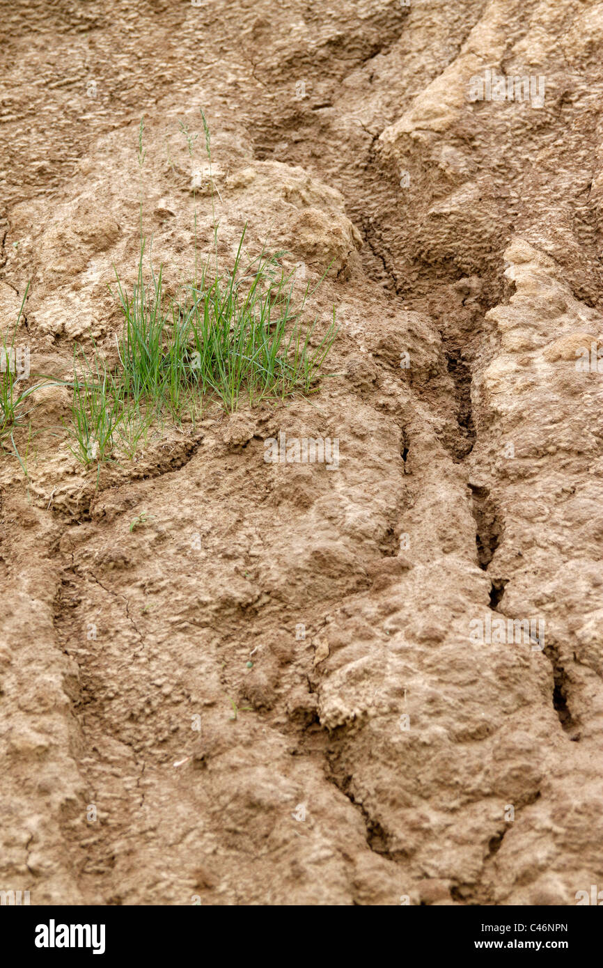 Glacial till hi-res stock photography and images - Alamy