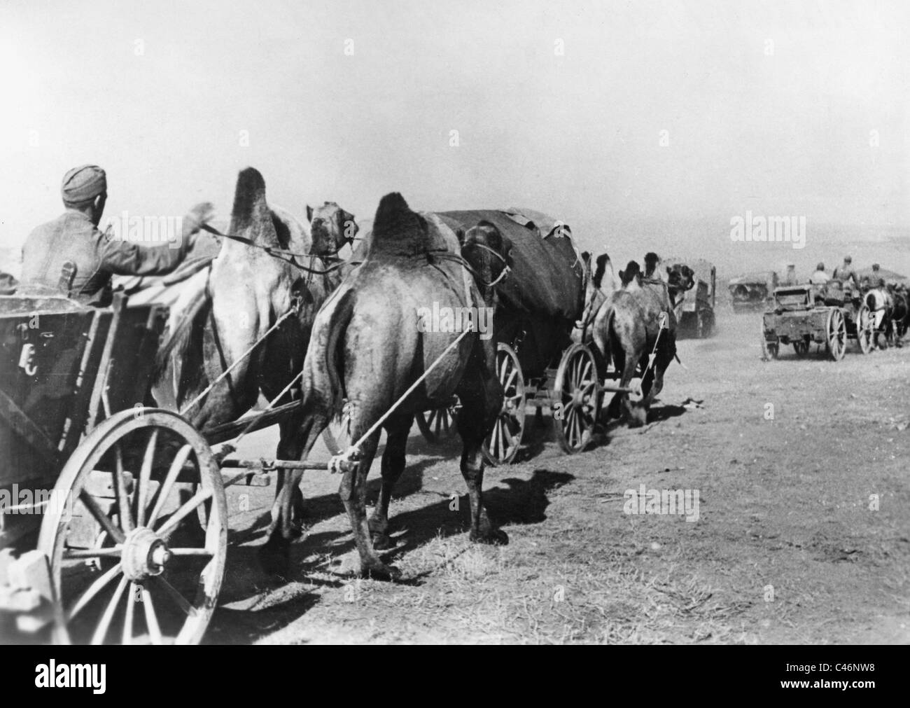German wehrmacht crimea 1941 hi-res stock photography and images - Alamy