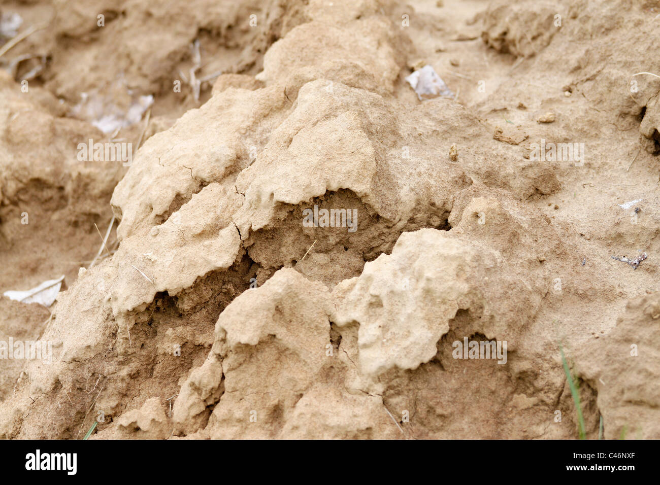 Glacial Till Soil